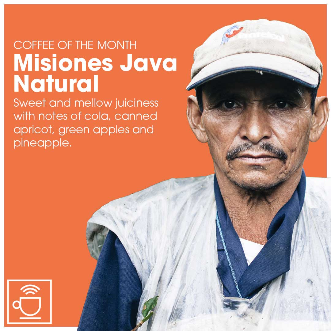 Coffee of the month: Misiones Java Natural